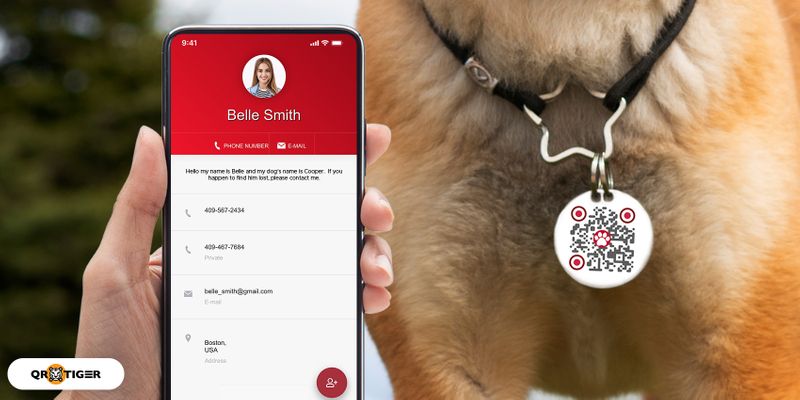 QR Code for Pets: How to Digitize Your Pet ID Tags
