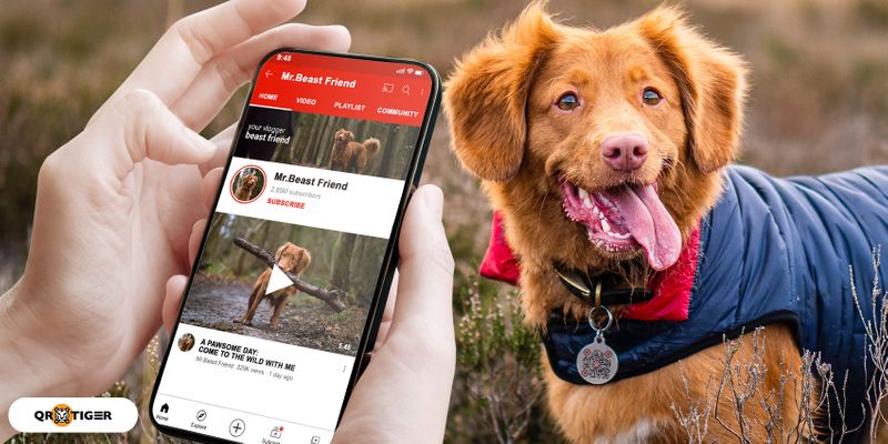 QR Code for Pets: How to Digitize Your Pet ID Tags