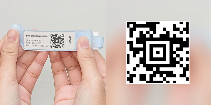 Different Types of QR Codes: Definition and Use Cases - Free Custom QR ...